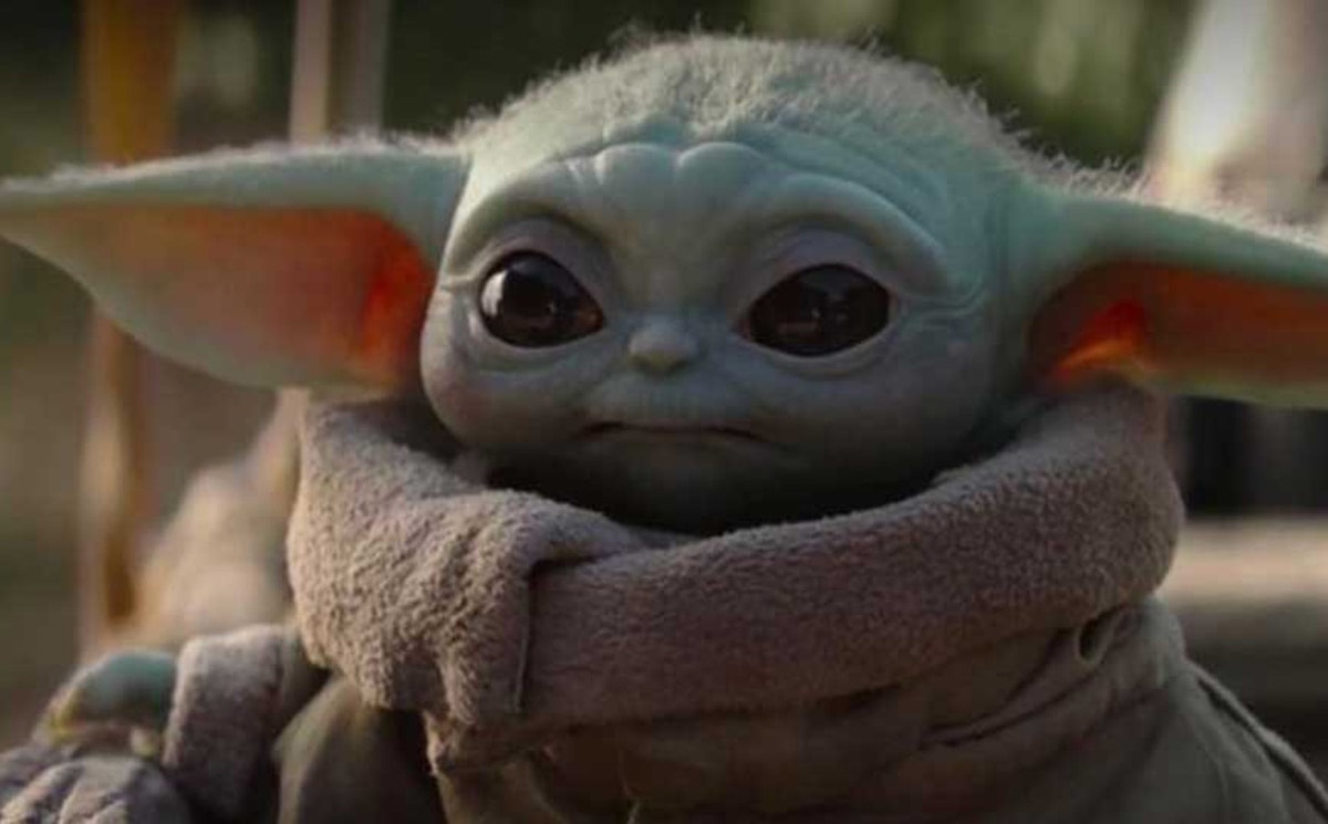 WHARRGARBL : r/babyelephantgifs